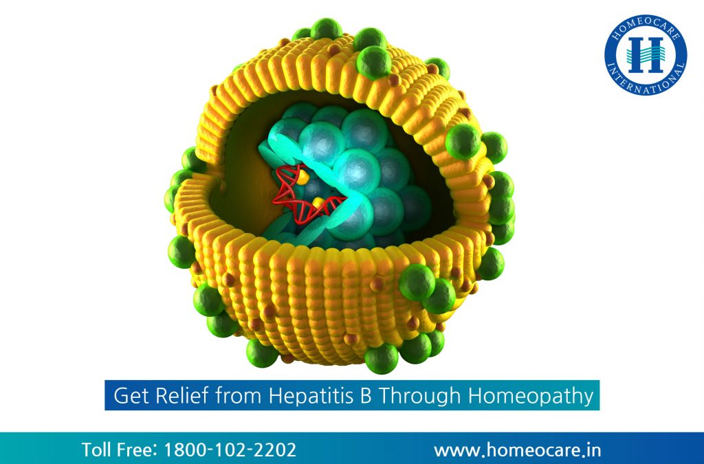 Hepatitis B and its Effects